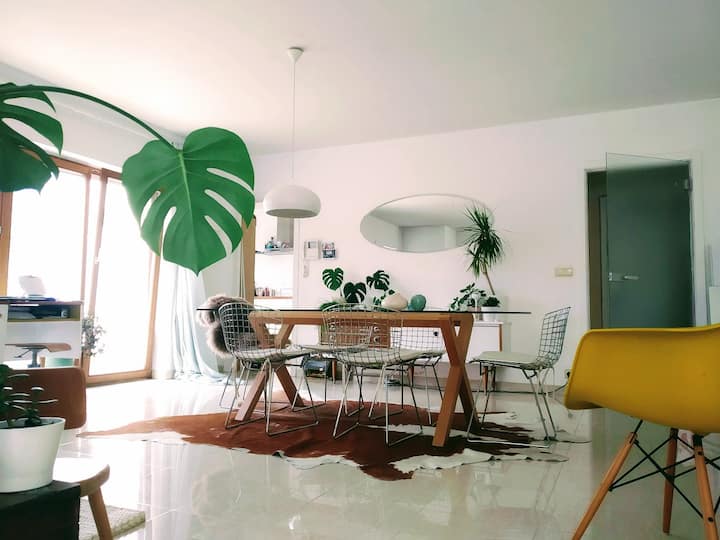 Appartement Moderne En Plein Centre - Mons