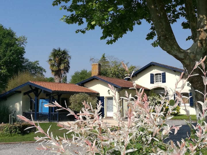 Jeannotte, Gîte De Caractère, 3 éToiles, Au Calme - Peyrehorade