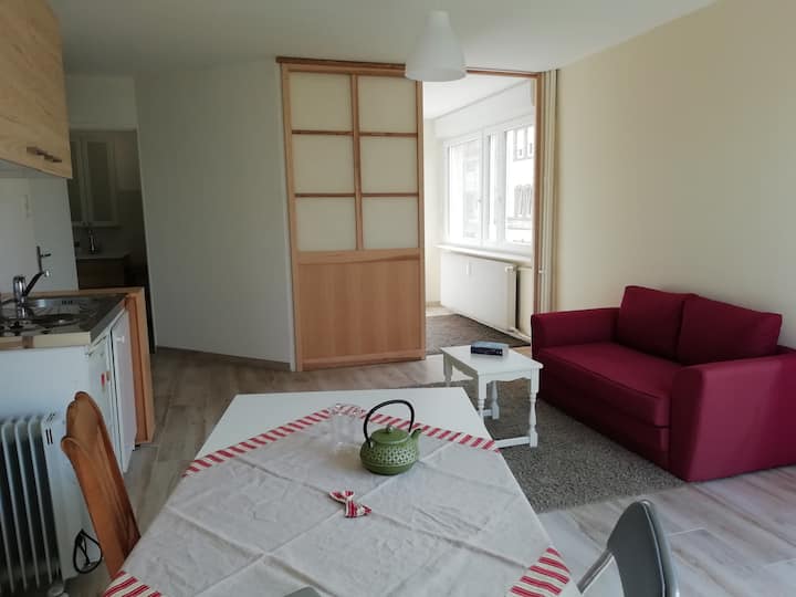Appartement Cosy Proche Centre-ville - ibis Styles Strasbourg Avenue du Rhin