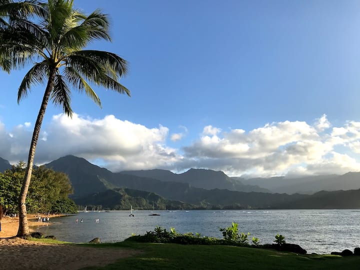 Best Location: Ac In Bedroom, Washer Dryer. - Kauai, HI