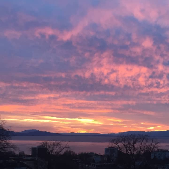 Nid De Soleil (à 5 Min Du Centre Ville) - Lausanne
