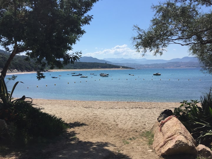 Chalet Dans Propriété Bord De Mer N°3 - Olmeto