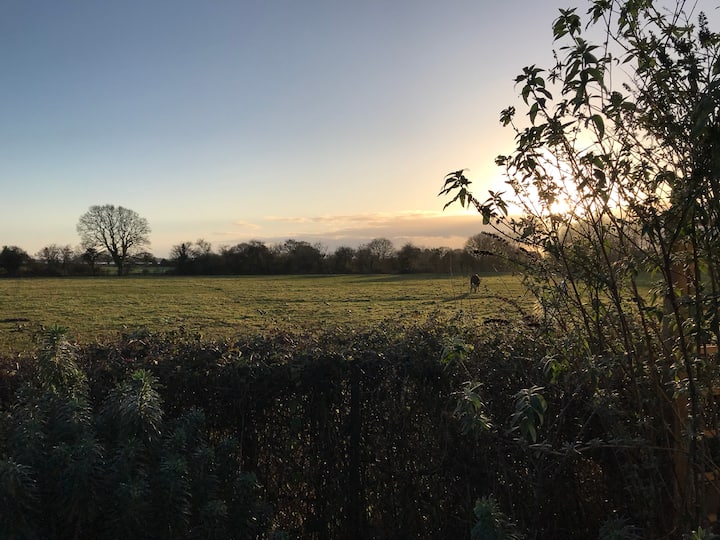 Peaceful Escape Within Easy Reach Of Chichester - Hayling Island