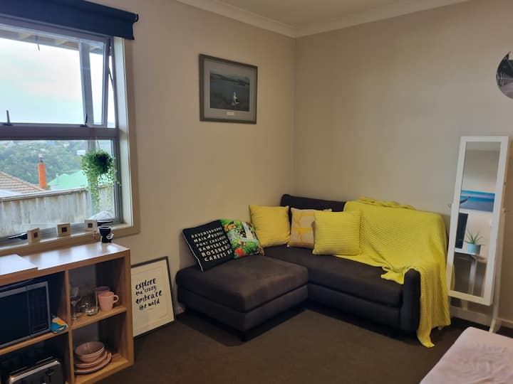 Best View In Dunedin - Dunedin