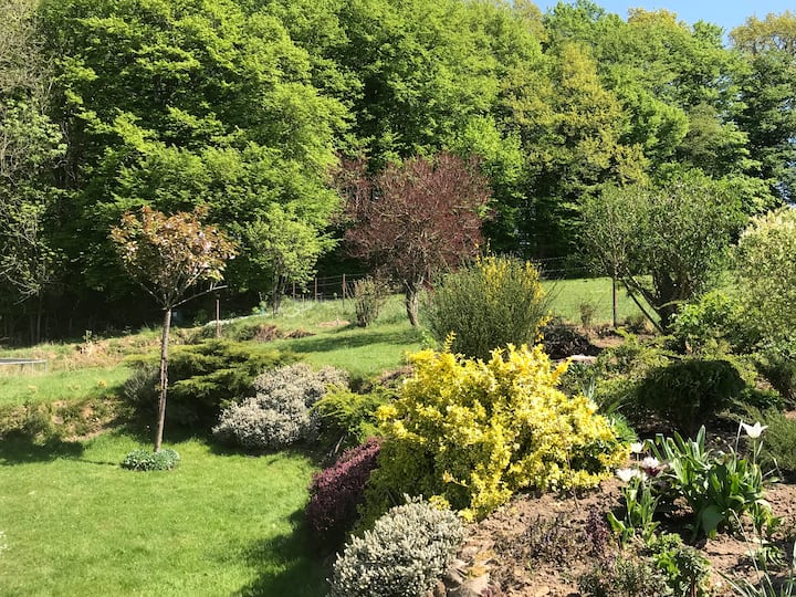 « A L’orée De Bois » Détente Au Calme - Namur