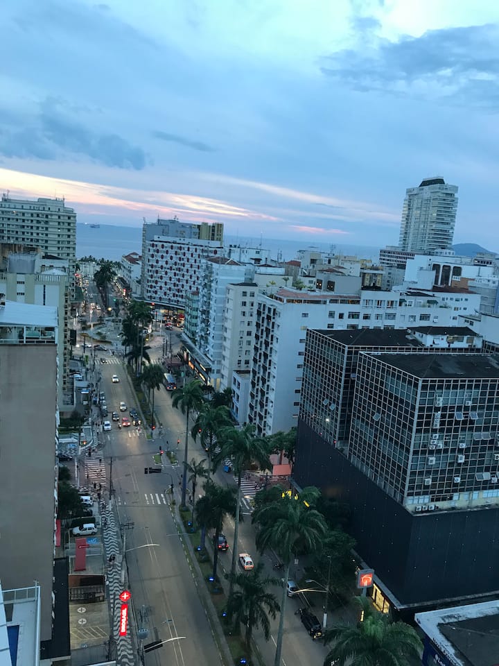 Apto Gonzaga Vista Para O Mar - Santos