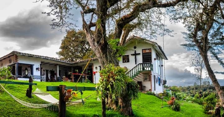 Bello Horizonte Farm - Cali