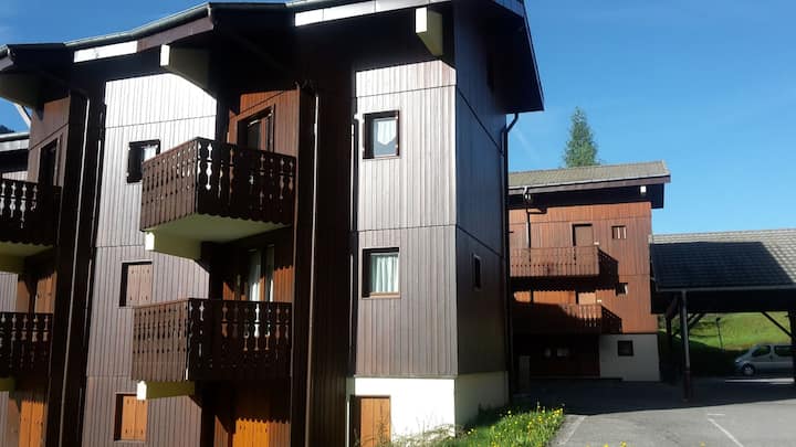 Très Bel Appartement Dans La Vallée De Châtel - Abondance