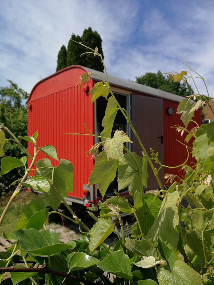 Bauwagen Im Herzen Ostfrieslands - Moormerland