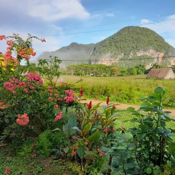 Casa Campo Mileidys Feito Con Wifi Y Panel Solar - Vinales