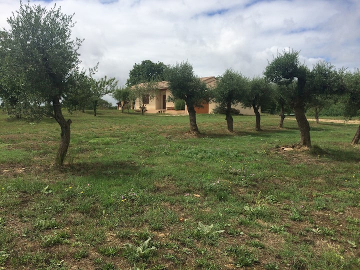 Maison En Campagne Tout Confort Avec Grand Jardin - Jardin des Paradis de Cordes-sur-Ciel