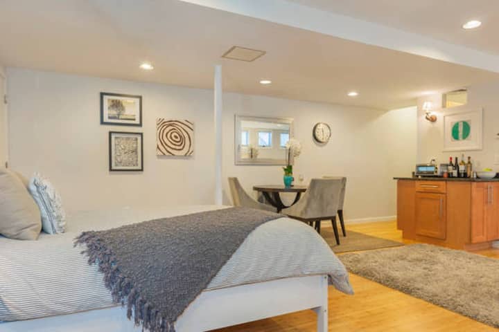 Walk To Harvard- Modern Studio - Cambridge, MA