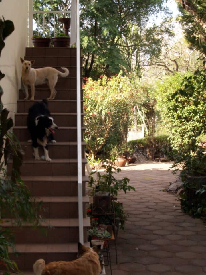 Comfortable And Affordable - Pinetown