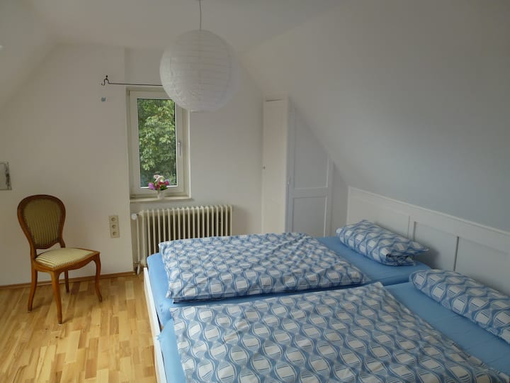 Like In Heaven - Trier