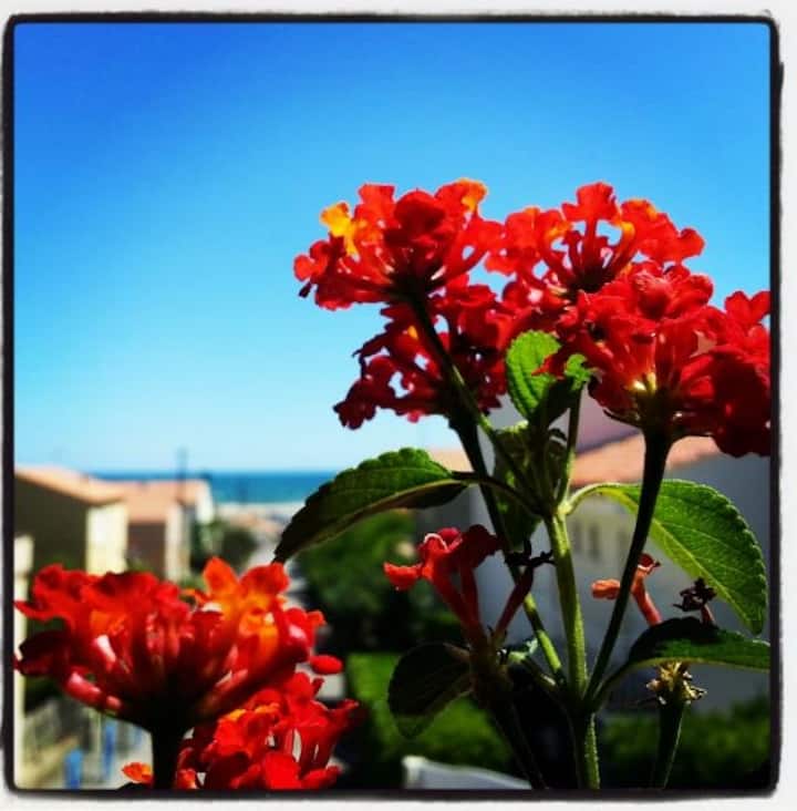 Appartement Avec Vue, Proche Plage - Saint-Pierre-la-Mer