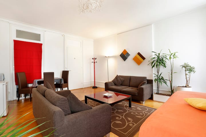 Grand Appartement 2 Au Centre Ville - Genf