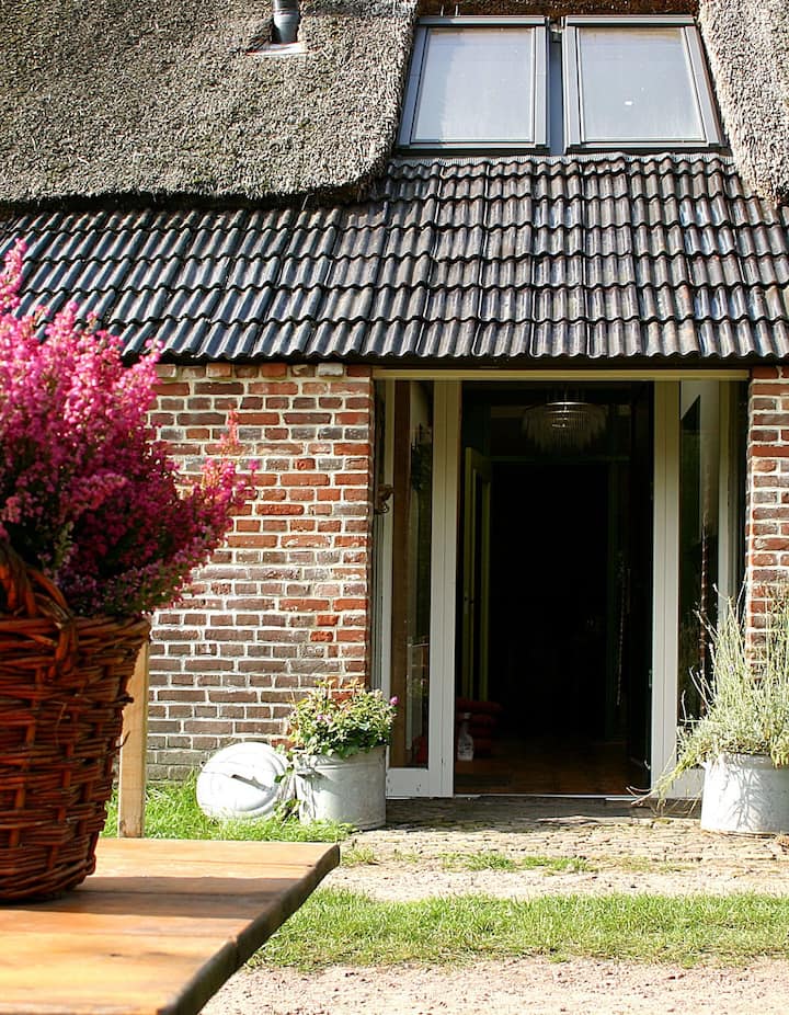 Achterhuis Van Onze Boerderij - Assen