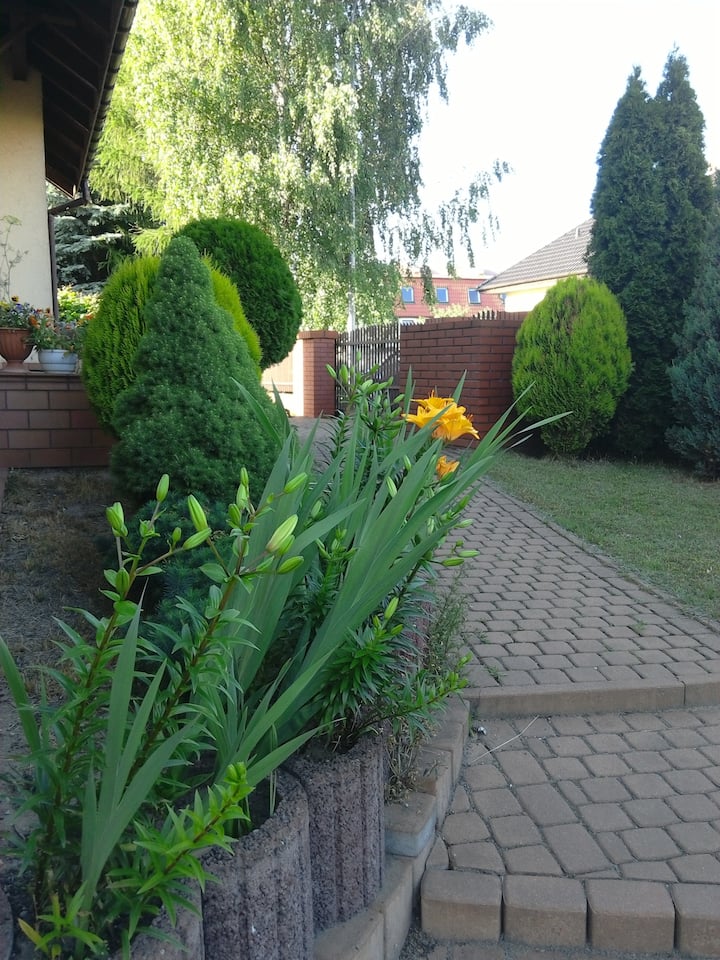 Domek Obok Kortowa - Olsztyn