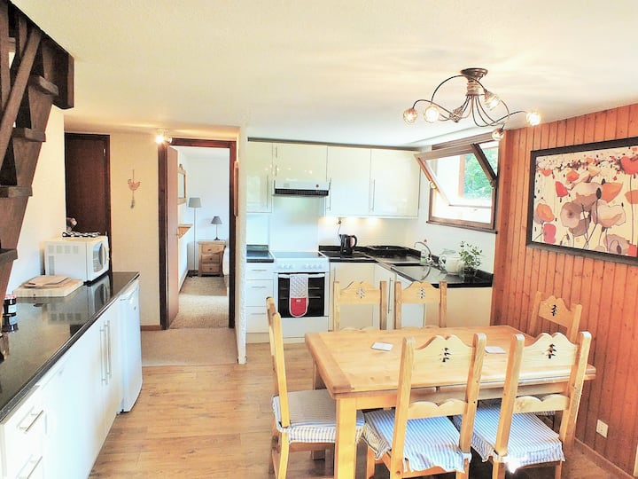 Apartment In The Mountains Sleeps 8 - Le Chinaillon