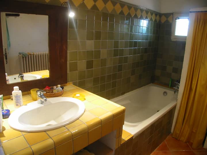 Gîte • Gauguin • 12 Personnes - Camargue