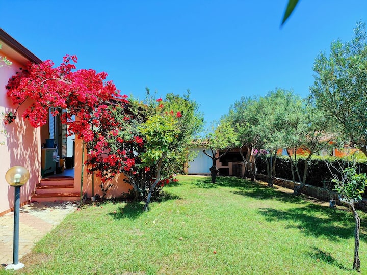 Budoni 250 Metri Dalla Spiaggia - Budoni