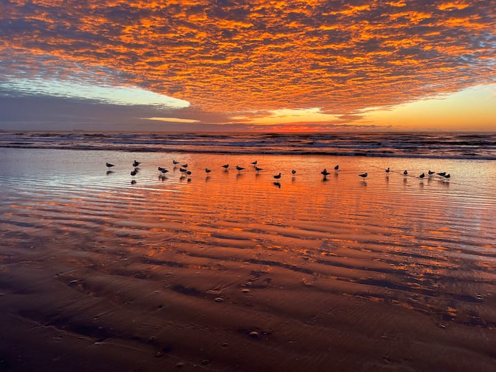 “Fall”ing Rates… So Come On Down And Check Us Out - Port Aransas, TX