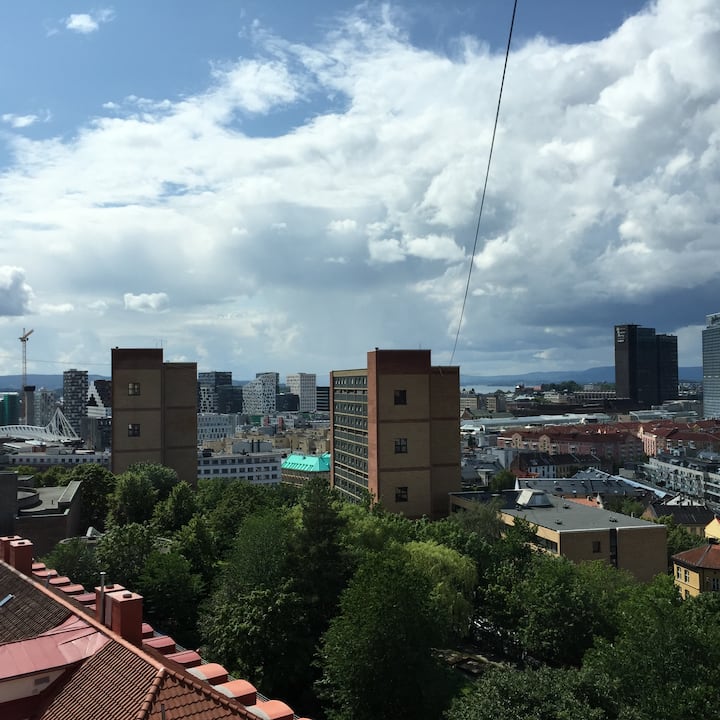 Green View In Urban Location - Oslo
