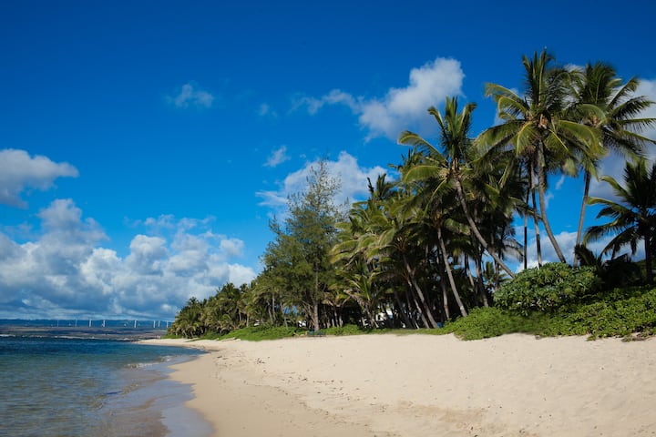 Beautiful Beachfront Oasis - Guest suites for Rent in Waialua, Hawaii ...