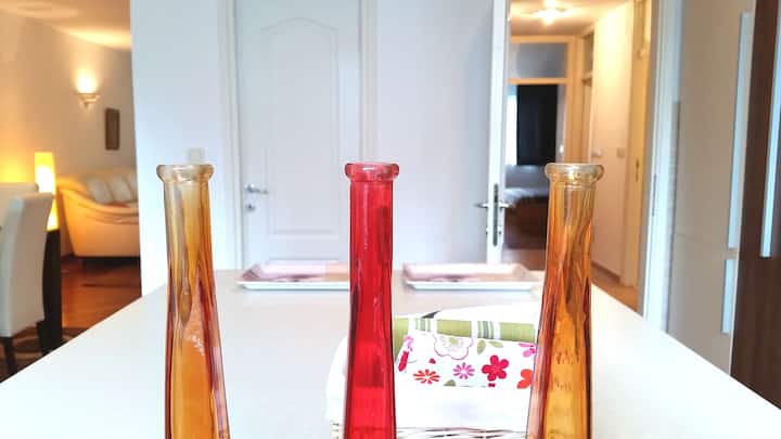 Large Apartment Near Center - Sarajevo