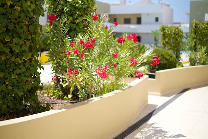 Family Aparment Albur Village  R/c D - Alvor