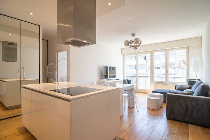 New 1br Ap/very Spacious Gva Center - Geneva