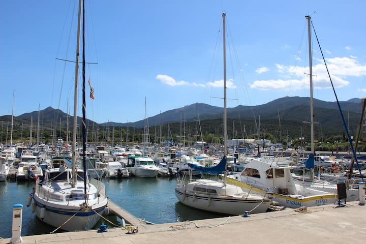 Appartement 3 / 4 Pièces Port Argeles - Collioure