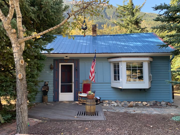 Cozy Clear Creek Cabin W/ Free Ski Pass - Georgetown, CO