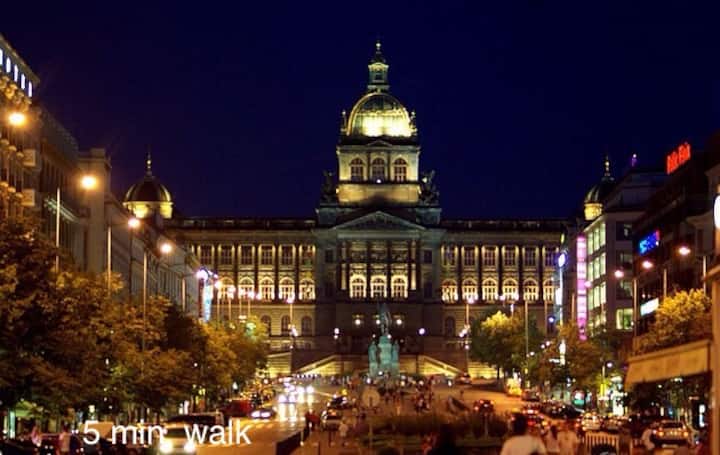 Modern Apartment(wenceslass Square) - Prága