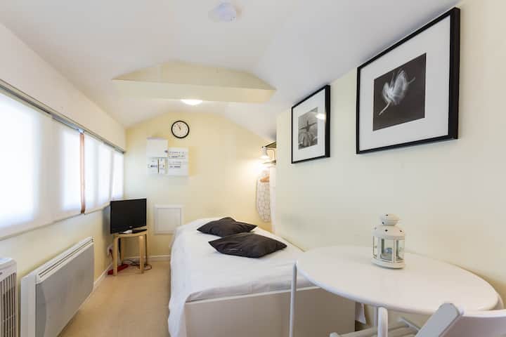 Charmant Studio Sous Les Toits - Grenoble