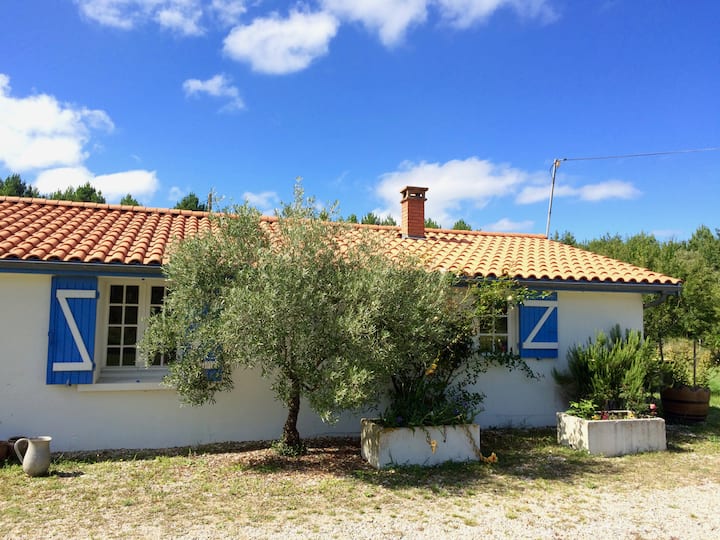 La Vie En Rose, Haus 2 Von 2 In Vendays-montalivet - Vendays-Montalivet