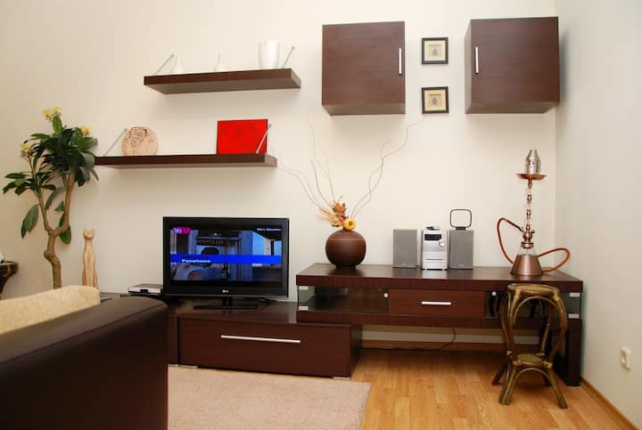 Beautiful Apartment In The Centre ! - Kiev