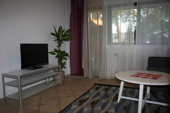Komfortable Wohnung Mit Terrasse - Fribourg-en-Brisgau