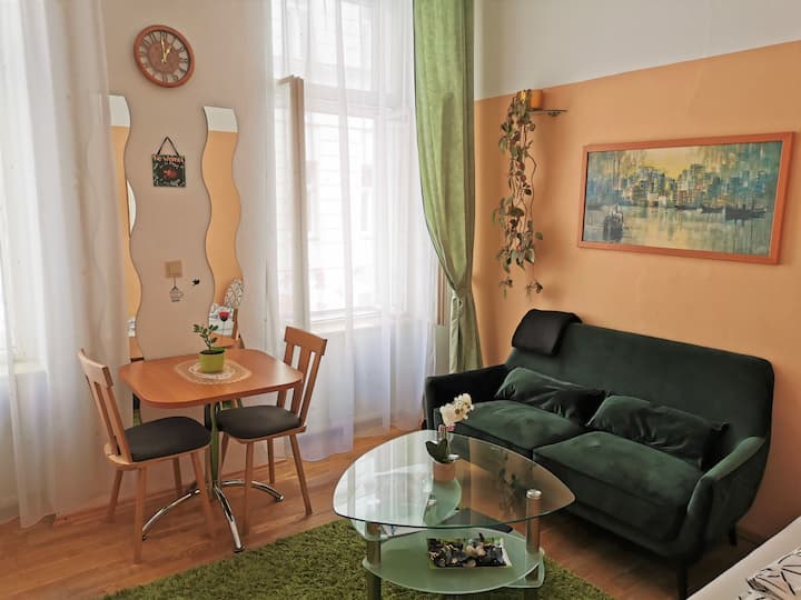 Charming Apartment Near Metro & Schönbrunn Palace - Wien