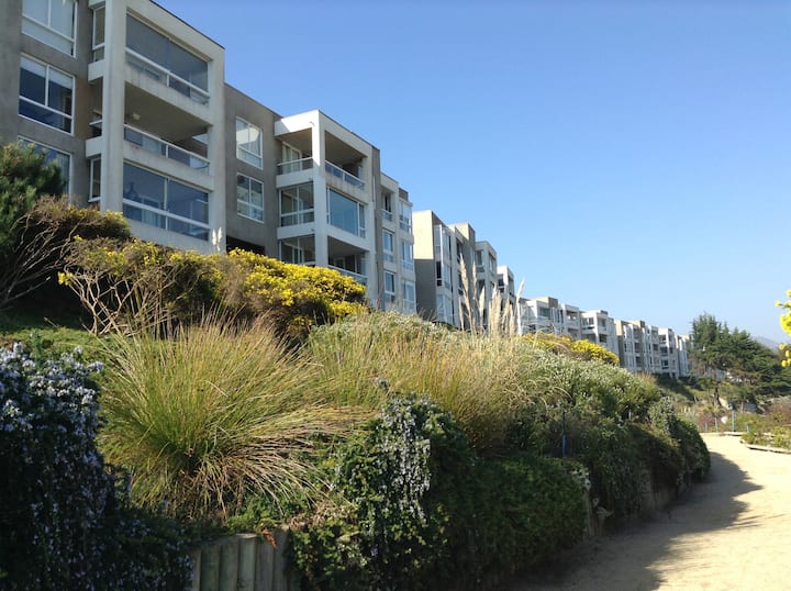 Pinares De Cachagua,maintencillo. - Zapallar