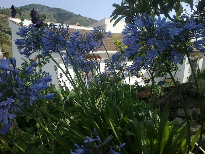 Villa Near Cómpeta - Stunning Views, Heated Pool - Cómpeta