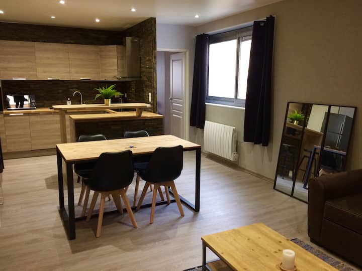 Moderne Et Spacieux En Plein Coeur De Dijon - Dijon