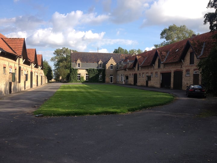 Groot Noordhof - Blauwe Reiger - Nieuport
