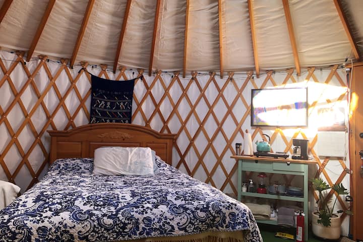 13 Best Yurts In Georgia, USA - Updated 2024 | Trip101