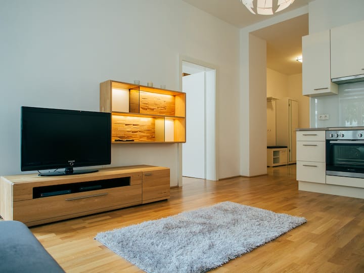 53m2-dream In Revitalized Altbau - Vienna