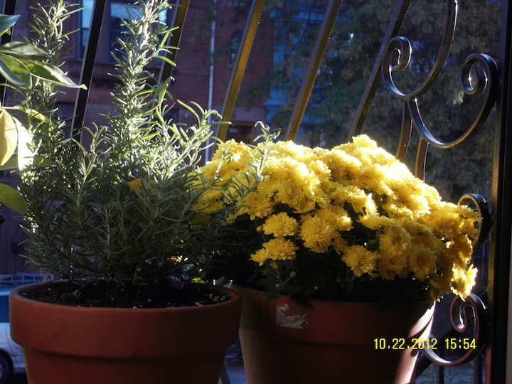 Elegant Stuyvesant Heights Retreat - Brooklyn, NY