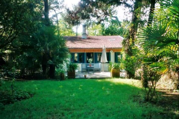 Charmante Villa Ds Les 44 Ha - Cap Ferret