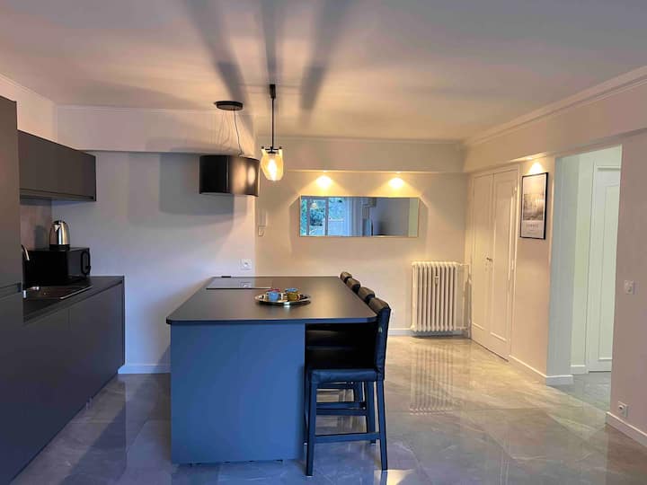 Les Arènes-cannes Centre, 2 Pièces, 45 M², Rénové - Cannes