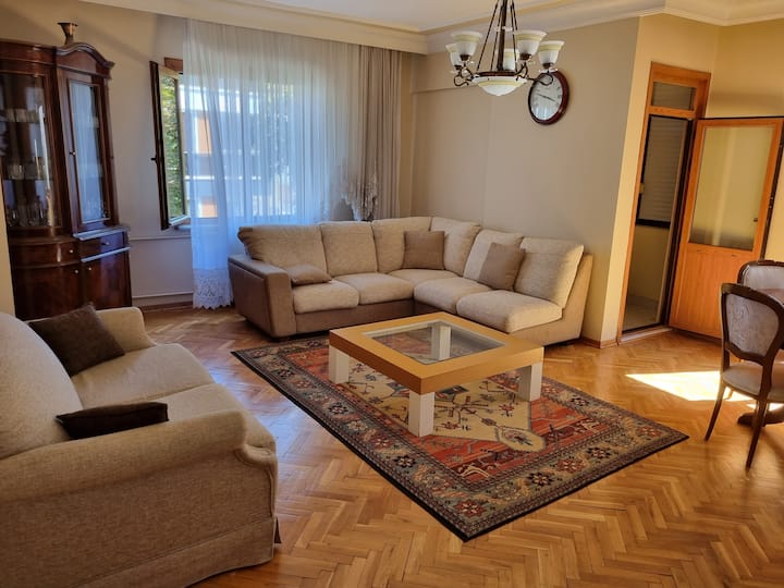 Great Location, Comfortable Large Flat - Adalar