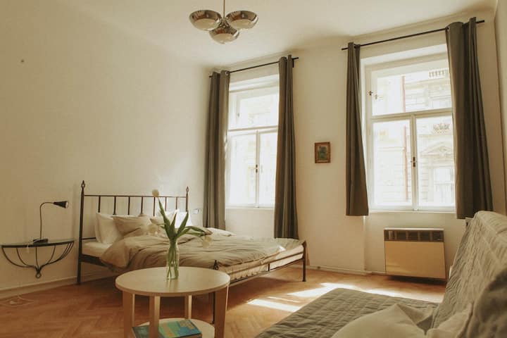 Stylish Apartment Prague Center - Prága